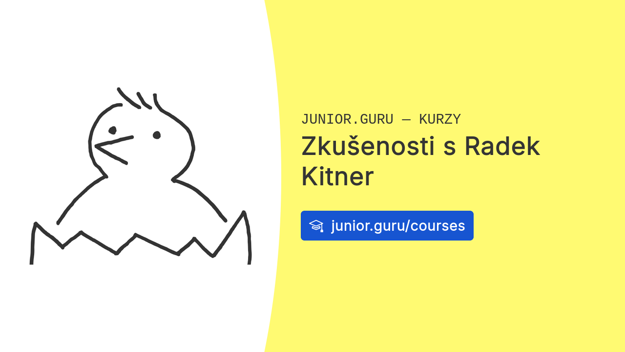 Zkušenosti s Radek Kitner